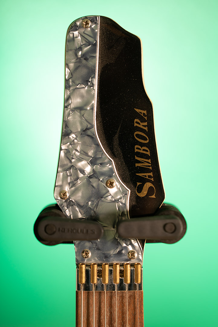 Richie Sambora Prototype